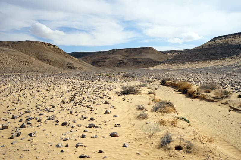 Sand and ravine stock image. Image of sand, close, yellow - 49007257