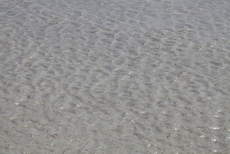 Sand relief on a beach stock photo. Image of white, river - 108036408