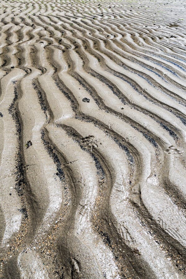 Sand Ridges stock image. Image of ripples, salcombe, wavy - 42551785