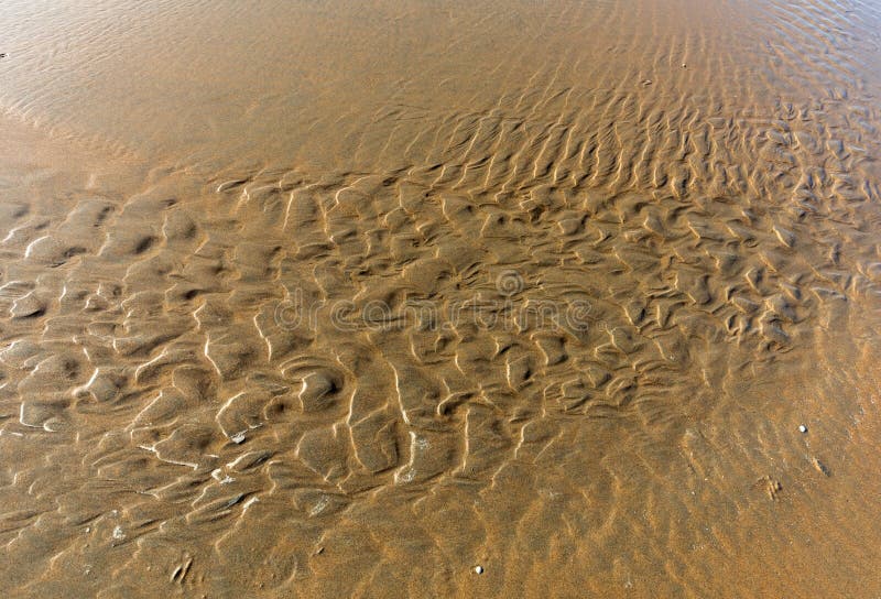 Sand Ripple Naturally Formed by the Low Tide on the Beach. Stock Photo ...