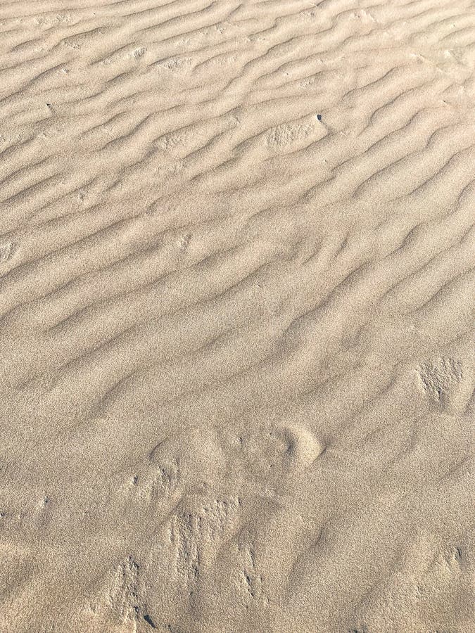 Sand Ripple Pattern on Beach Stock Image - Image of abstract, tropical ...