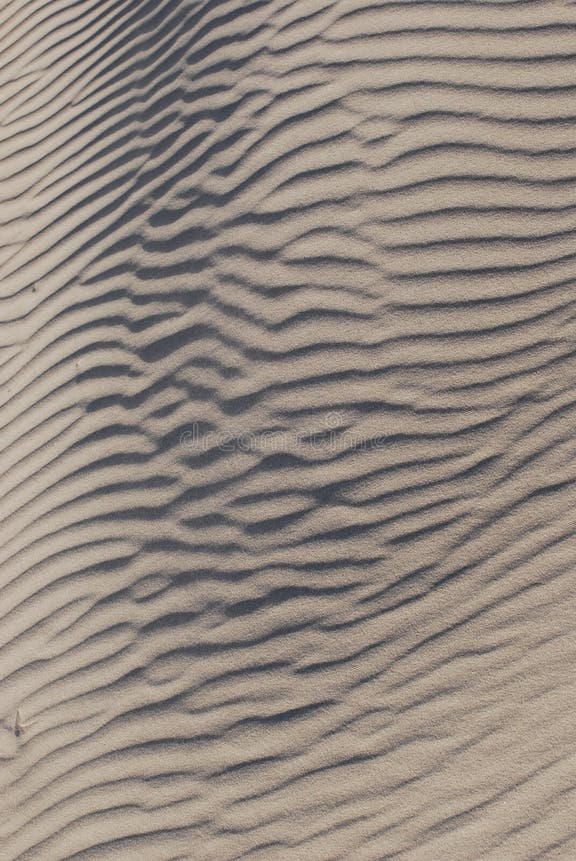 Sand Ripple Patterns stock image. Image of endangered - 15648189