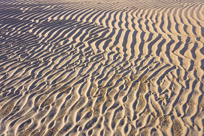 Patterns in the Beach Sand Made by Sand Worms Stock Image - Image of ...