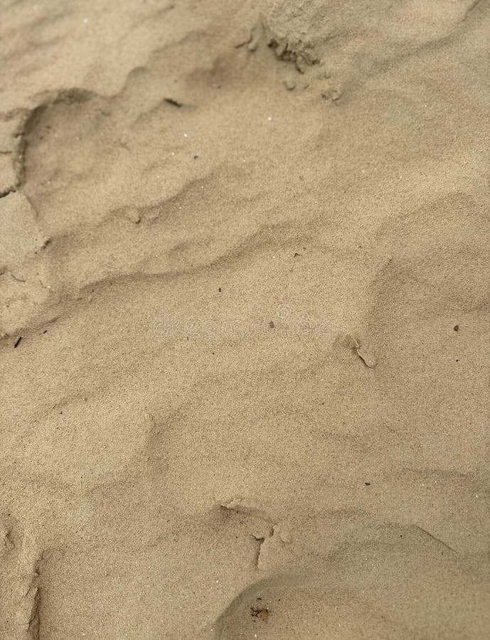 6,499 Dry Brown Sand Beach Shore Background Stock Photos - Free ...