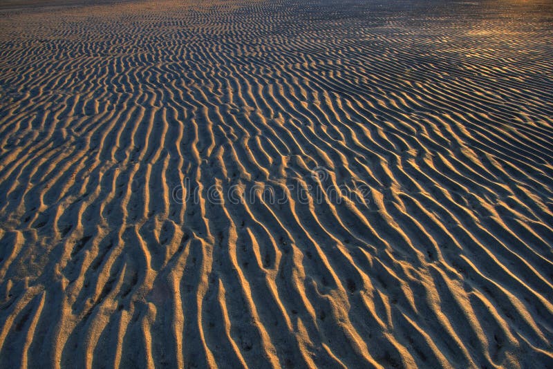 Sand ripples stock image. Image of detail, groove, ripple - 1575067