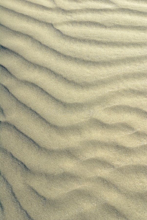 Sand ripples stock image. Image of coast, marks, lines - 24239009