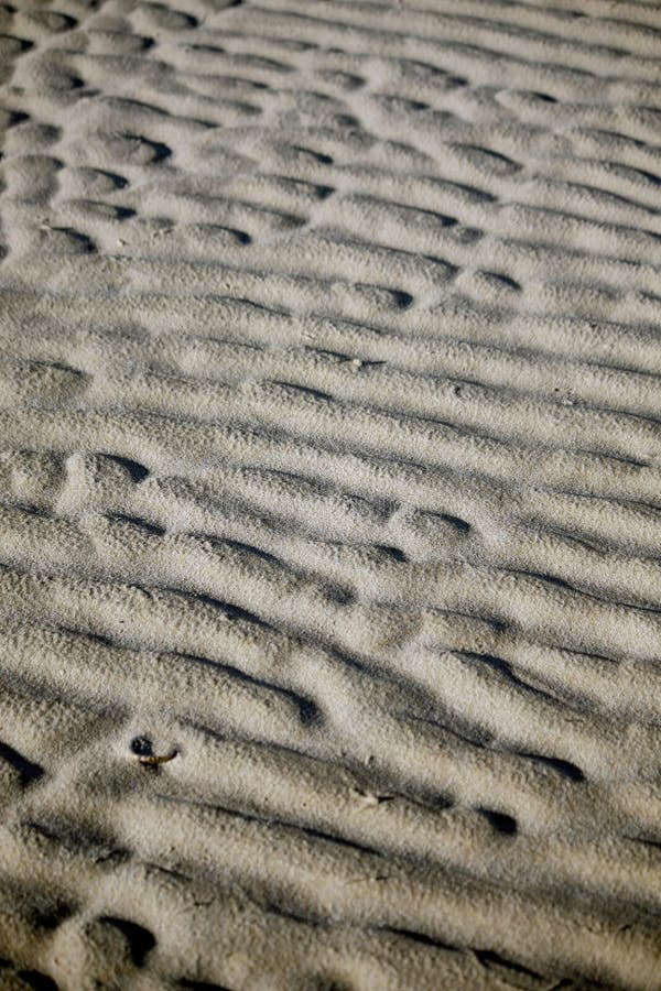 Sand ripples stock image. Image of focus, water, shore - 5725837