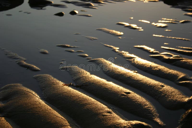 Beachscape stock image. Image of beach, pool, ocean, sand - 10329289