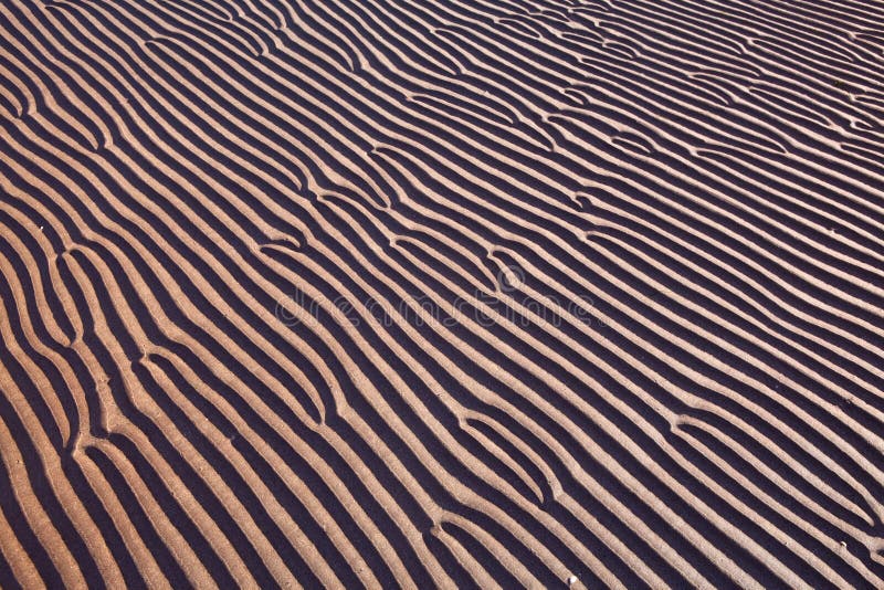 Sand Ripples Picture. Image: 9581104
