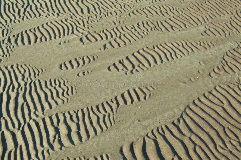 Steps on Sand Dunes stock image. Image of florida, meditate - 15648179