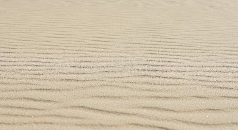 Sand Ripples an Abstract Desert Landscape Texture Stock Illustration ...