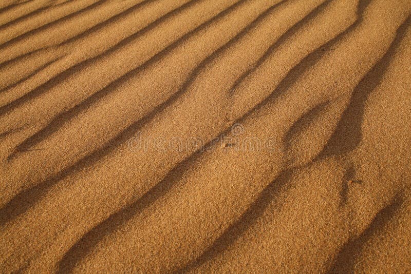 Sand ripples stock photo. Image of dune, sand, waves - 53990488