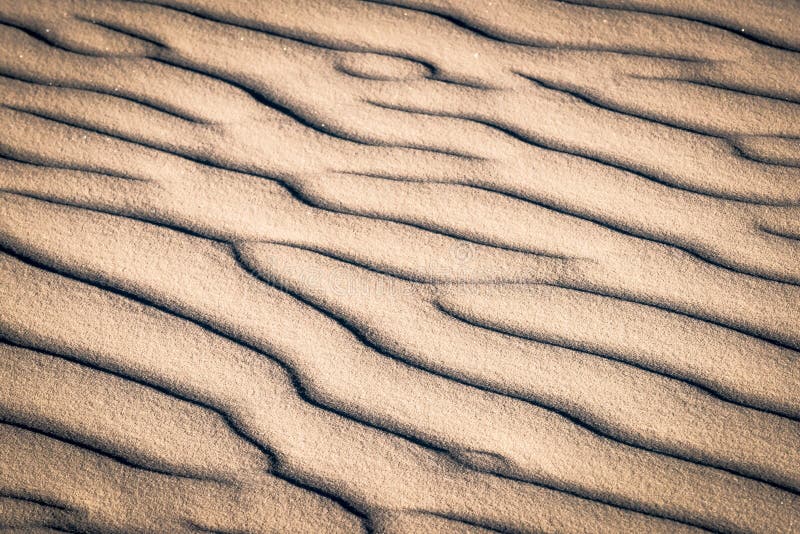 Sand Ripples stock photo. Image of tourism, dune, textured - 83288080