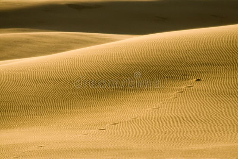 Sand Ripples And Foot Prints Stock Photo - Image of arabian, dunes: 8052628