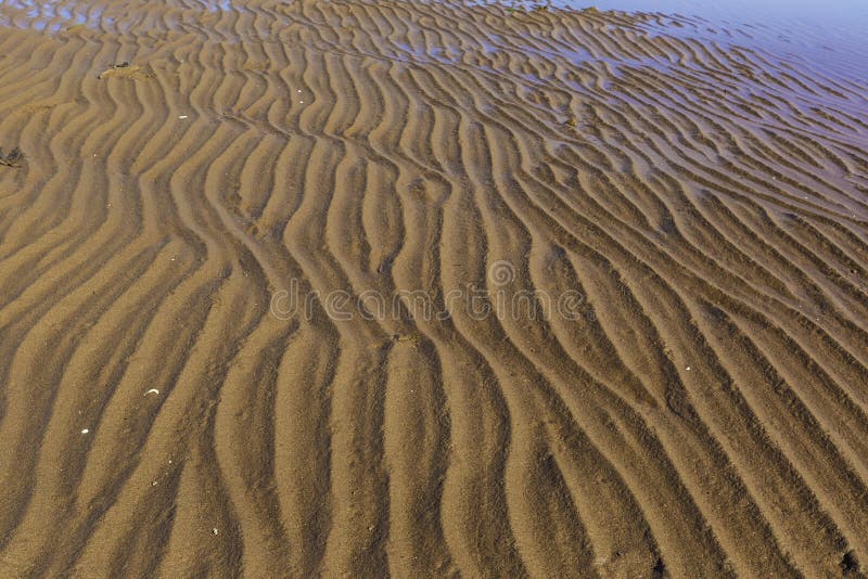 Sand Ripples stock image. Image of beach, desert, grain - 78947197