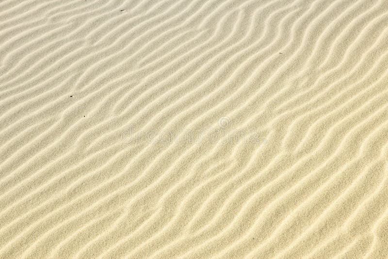 Sand ripples stock image. Image of surface, textured - 80676437