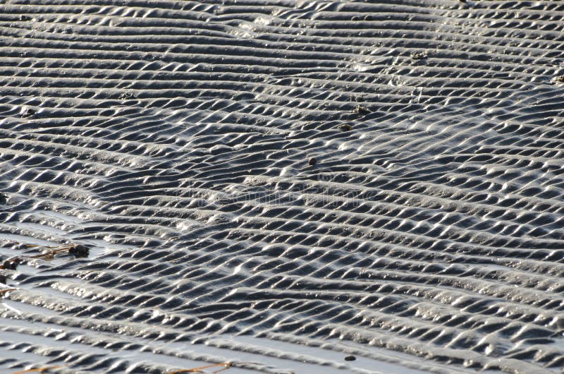 Sand Ripples stock image. Image of waves, waveform, water - 81218053