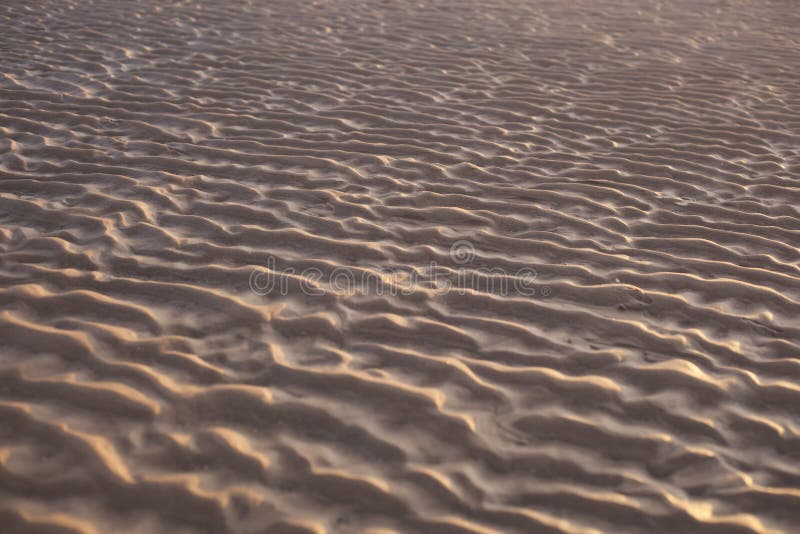 Sand ripples at Sunset stock photo. Image of reflection - 132012544