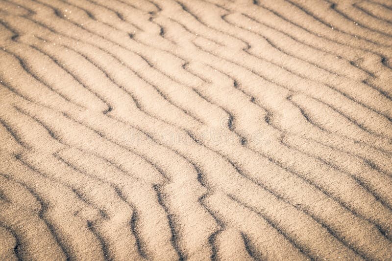 Sand Ripples stock photo. Image of brown, beauty, sandy - 83277074