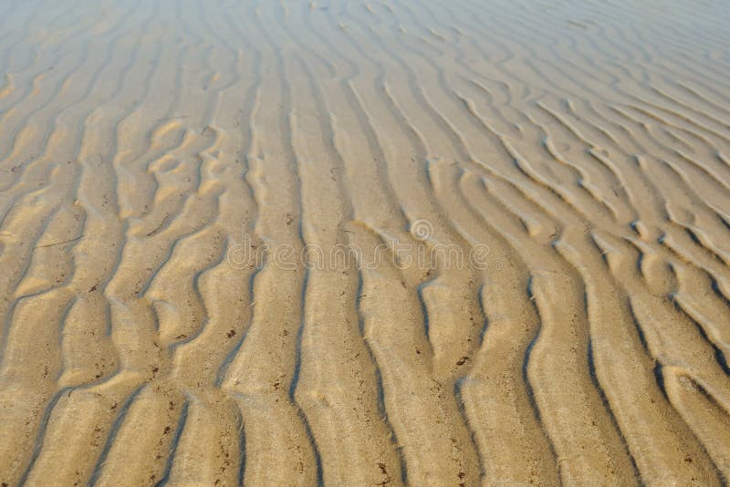 Sand ripples in water stock image. Image of bright, texture - 26178525