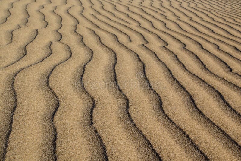 Sand ripples stock photo. Image of grains, gold, ripple - 46531716