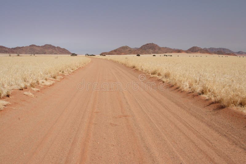 Sand Road stock photo. Image of namib, brown, lonely, sand - 7095290