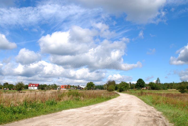 Sand Road at Sunset stock photo. Image of road, forest - 81711858