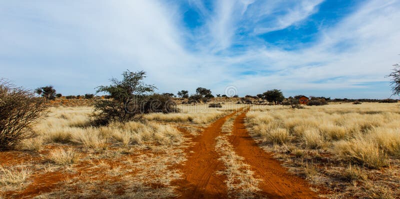 Sand Road in Namibia stock photo. Image of tourist, road - 66799170