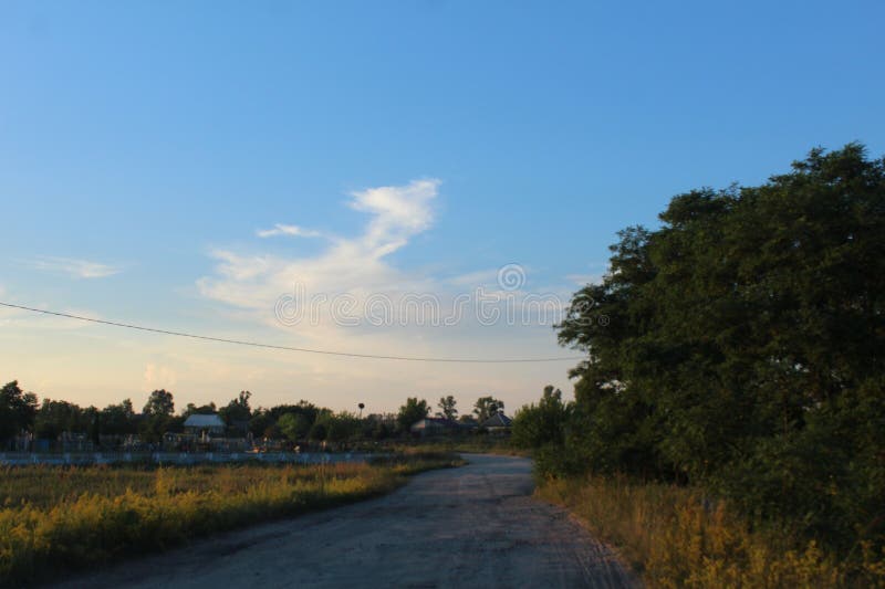 Sand Road in Sunset Light, Trees and Grass on the Side of the Road. the ...