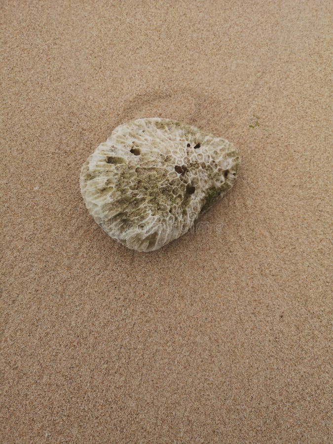 Sand with rocks stock image. Image of flooring, sand - 203851247