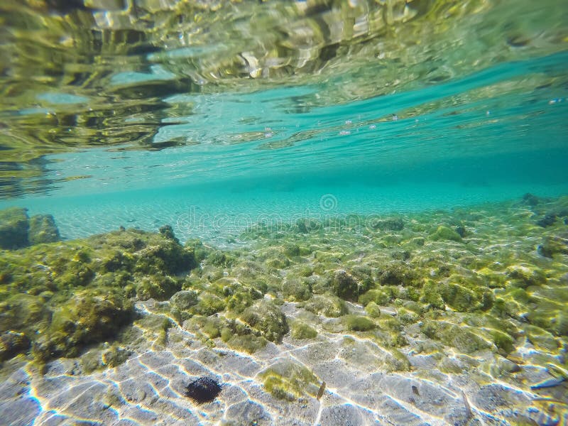 Sand and rocks underwater stock image. Image of reef - 70304615