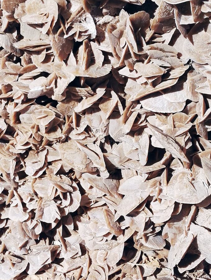 Sand rose close up stock image. Image of sahara, shape - 80190517