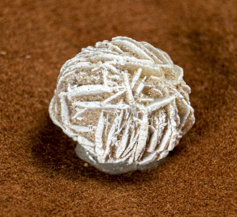 Sand rose. stock image. Image of mineral, sulfate, collect - 197120935