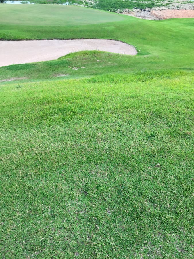 Sand and Rough Green Grass from Golf Ground Stock Photo - Image of ...