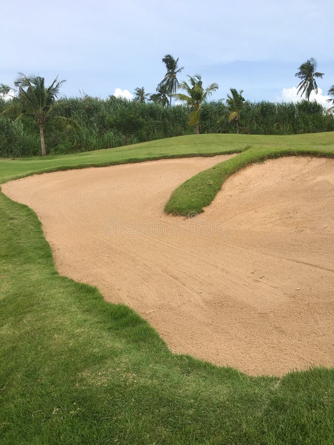Sand and Rough Green Grass from Golf Ground Stock Photo - Image of ...