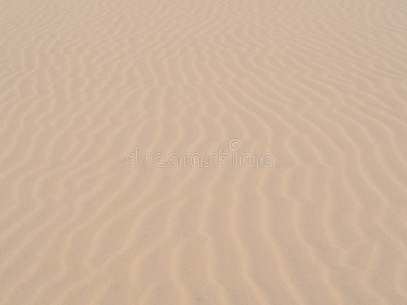 Sand Scape stock photo. Image of summer, golden, space - 116507842