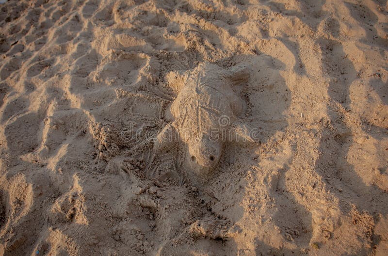 Sand Sculpture of a Sea Turtle Stock Photo - Image of kuantan, animal ...