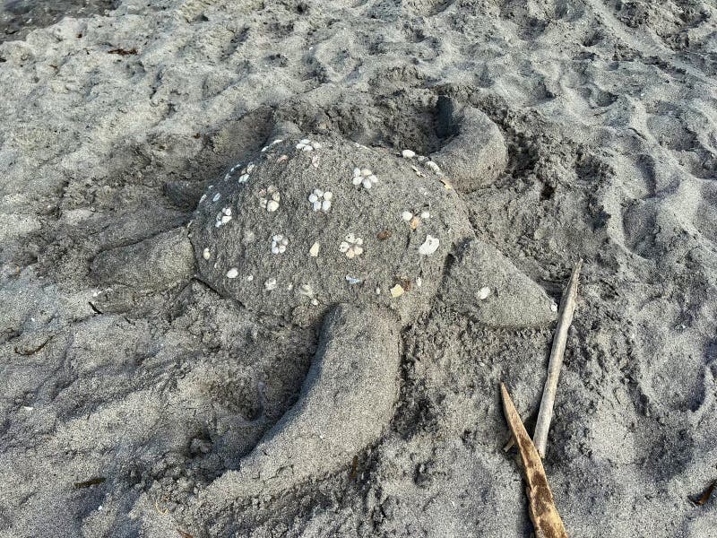 Sand Sculpture of a Turtle Made with Shells and Sand Stock Photo ...