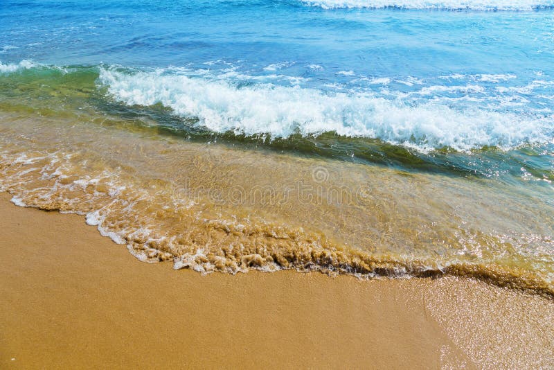 Sand, sea, shore stock photo. Image of mark, shore, seashore - 48299664