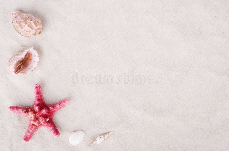 Sand with Sea Star and Shells Stock Photo - Image of marine, travel ...