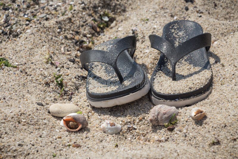 Sand, Seashells and Flip Flop Stock Image - Image of black, stone ...