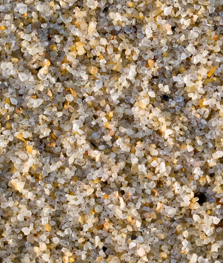 Sand on the Seashore stock photo. Image of macro, seashore - 5660282