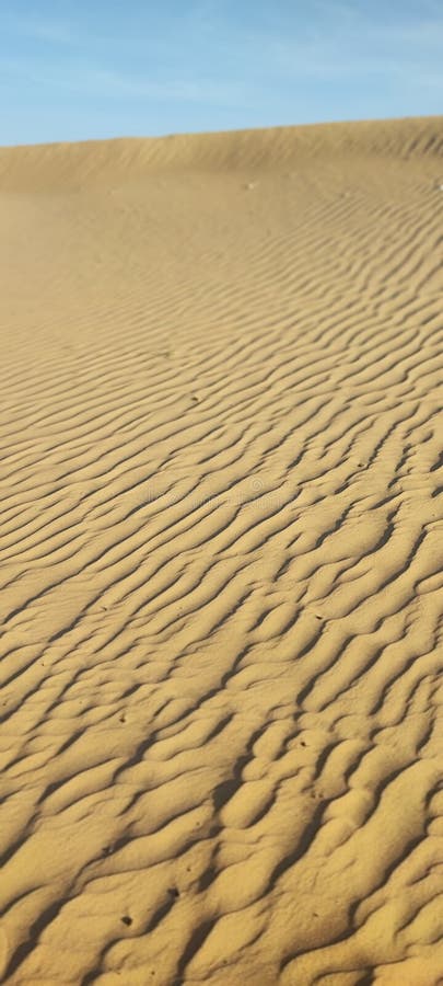 Sand shades stock photo. Image of plain, dune, wood - 269701724