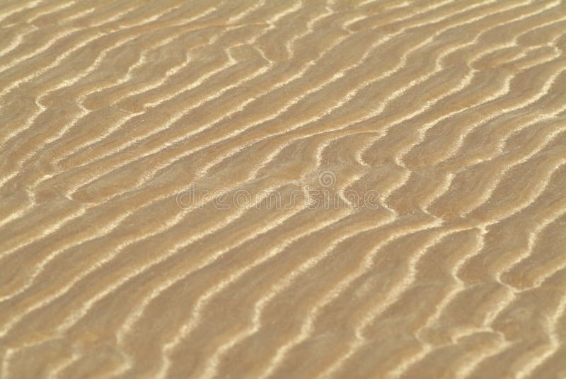 Sand shapes in a beach stock photo. Image of ripples, shapes - 5563084