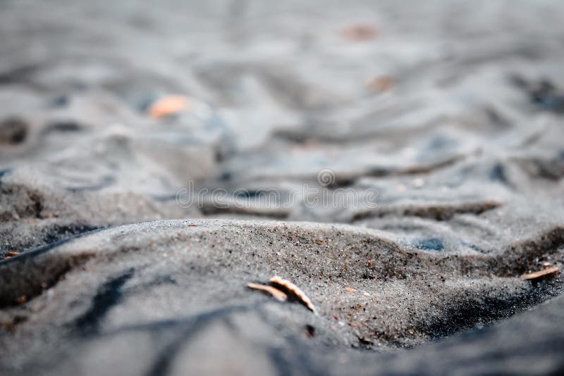 Sand and Shell Macro Textures Stock Image - Image of getaway, north ...