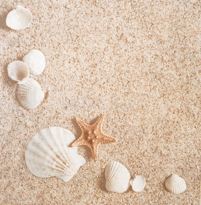 Sand and shells stock photo. Image of objects, shells - 89420502