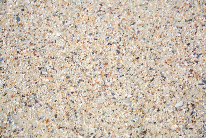Sand with Shells. Beach Sand on Sea Shore Stock Image - Image of beach ...