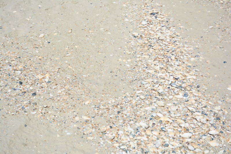 Sand with Shells. Beach Sand on Sea Shore Stock Photo - Image of dune ...