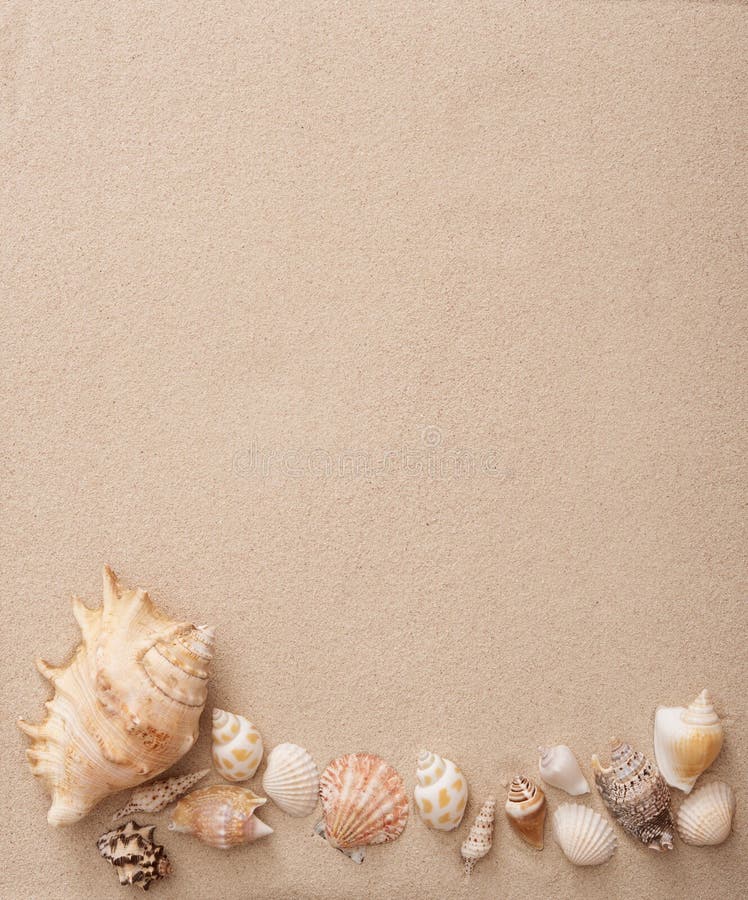 Sand with shells stock photo. Image of coast, ocean, coastline - 67804908