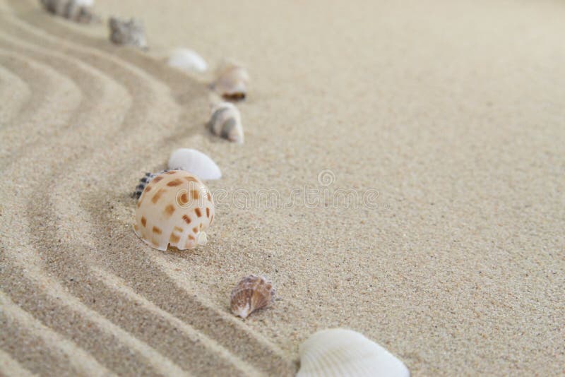 Sand and shells stock photo. Image of concept, modern - 41804104